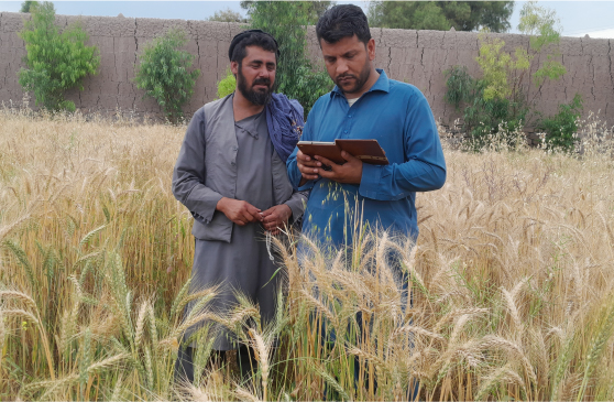 Adroit SnapSolutions - All Services